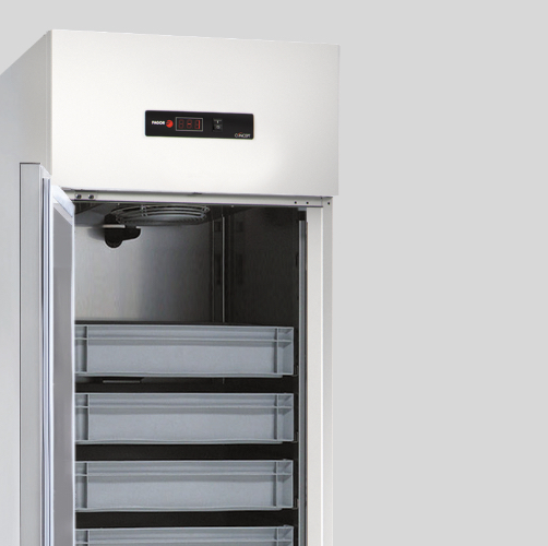 Fish Refrigeration Cabinets